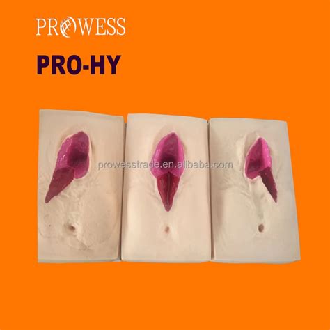 Pro Hy Episiotomy Suturing Pad Perineal Incision Suture Practice Model Vulva Suturing Training