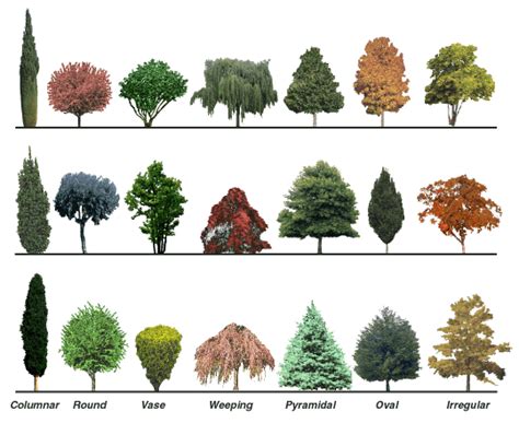 1 3 LANDSCAPE DESIGN