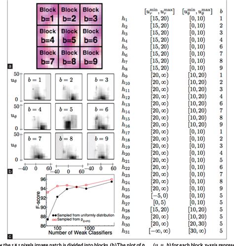 Figure 1 From Automated Image Based Prominent Nucleoli Detection