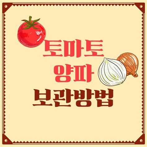 토마토 보관하는 방법 토마토 보관 기간 토마토 고르기 양파 보관하는 방법 양파 보관 기간 양파 고르기