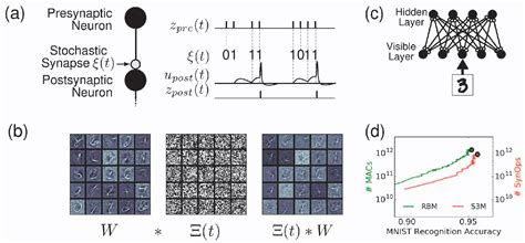 Figure 1 From Stochastic Neuromorphic Learning Machines For Weakly Labeled Data Semantic Scholar