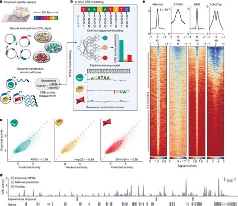 Patrick Adams On Linkedin Machine Guided Design Of Cell Type Targeting