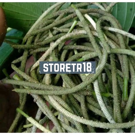 Jual Buah Sirih Hutan Segar Paket 100 Gram Hemat Shopee Indonesia