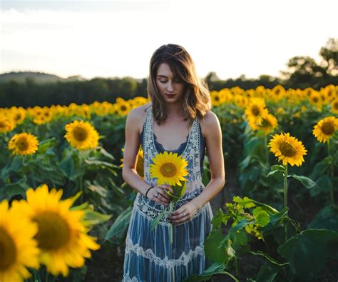 무료 인공지능 사진·영상 편집 온라인 도구 Pixelfox Ai