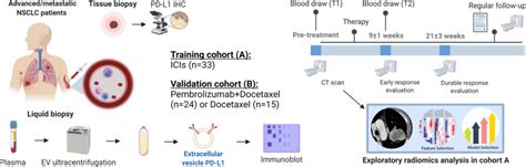 Extracellular Vesicle Pd L1 Dynamics Predict Durable Response To Immune Checkpoint Inhibitors