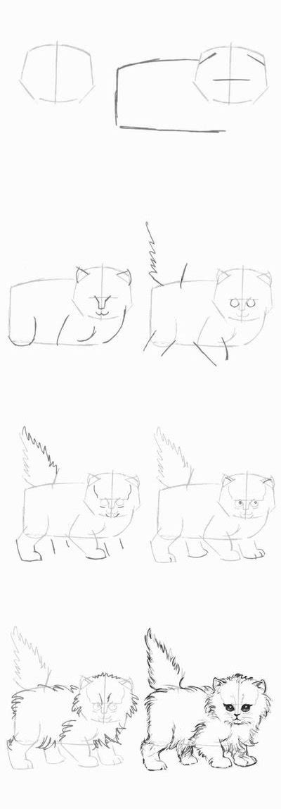 Как нарисовать кошку поэтапно карандашом британскую Фотоподборки 1