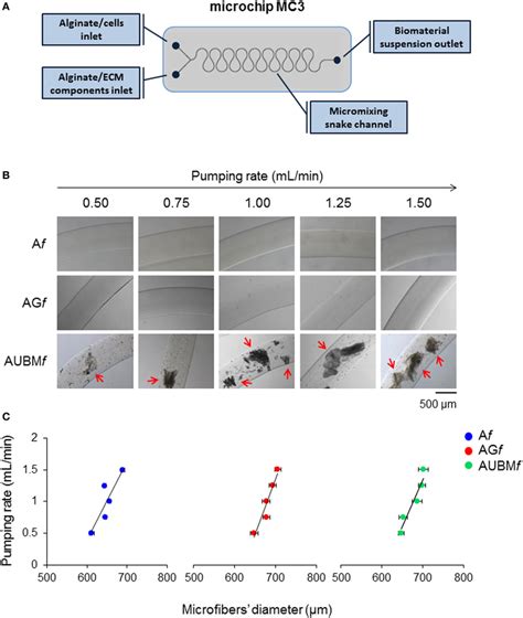 Production And Characterization Of Composite Microfibers A Schematic Download Scientific