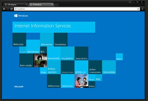 windows how to uninstall this default localhost website from my