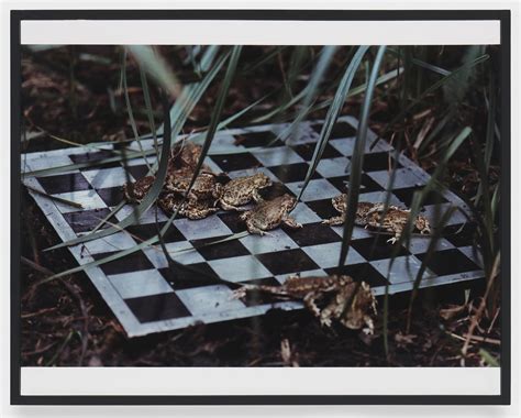 Lothar Baumgarten At Marian Goodman The Early Years — Musée Magazine