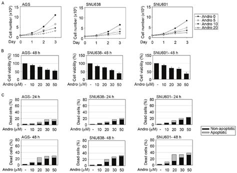 Andrographolide Induced An Antitumor Effect In Human Gc Cells Ags Download Scientific Diagram