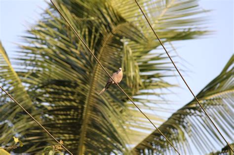 농장 농업 자연 Pixabay의 무료 사진 Pixabay