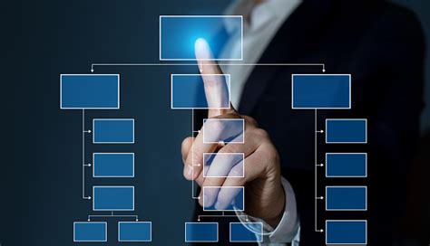 비즈니스 계층 구조입니다 회원들 간의 질서 또는 종속 관계 가상 화면 마인드맵 또는 오르막그램 흐름차트를 통한 비즈니스 프로세스 및 워크플로 우플로 자동화 순서도에 대한