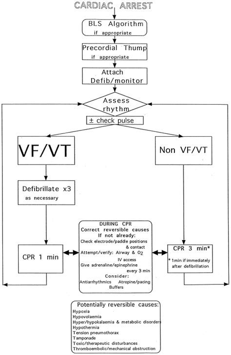 The 1998 European Resuscitation Council Guidelines For Adult Advanced Life Support Resuscitation