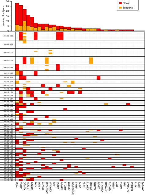 Intratumor Heterogeneity Of Single Nucleotide Variants For 35 Lung Download Scientific Diagram