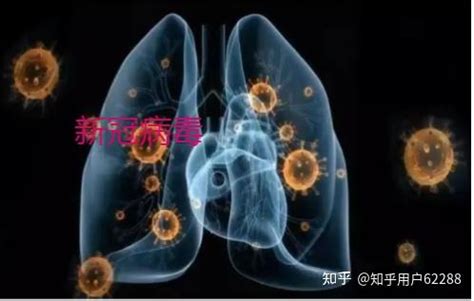 人感染新冠病毒后为什么出现不同的潜伏期 知乎