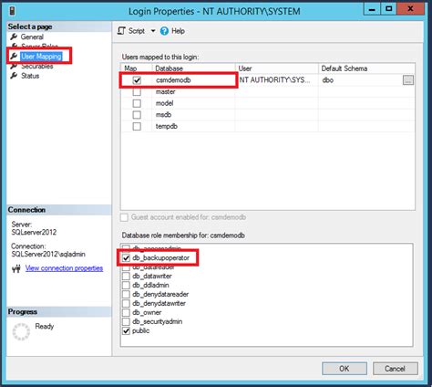 Windows Custom Scripts And SQL Server On A Virtual Machine PowerProtect Cloud Snapshot Manager