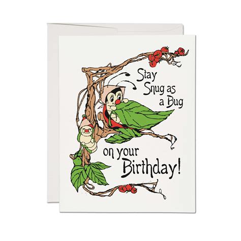 Stay Snug Greeting Card Red Cap Cards