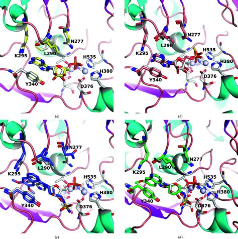 Crystal Structures Of Human Enpp1 In Apo And Bound Forms Pmc