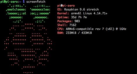 Raspberry Pi Ascii Logo Andreasgysin Is Known For His Unique Style In