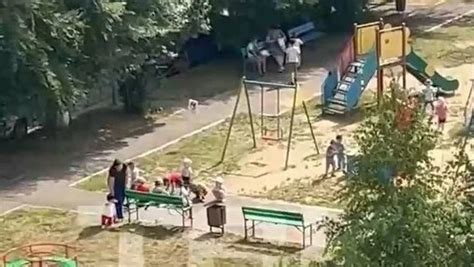 «Схватила за руку и потащила автор видео уверяет что с детьми грубо обращаются Yandex