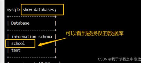 Mysql用户管理和用户授权mysql用户管理和授权 Csdn博客
