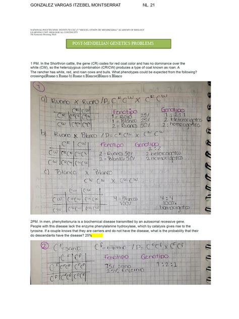 Post Mendelian Genetics Problem Set Pdf Dominance Genetics