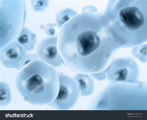 Cell Divides Into Two Cells Bluegray Stock Illustration Shutterstock