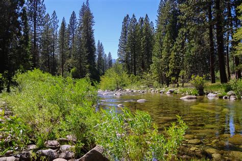 Tenaya National Park Free Photo On Pixabay Pixabay
