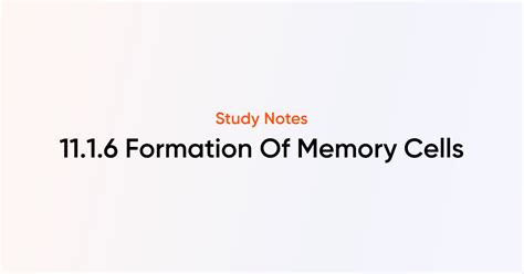 Resources Platform Tutorchase