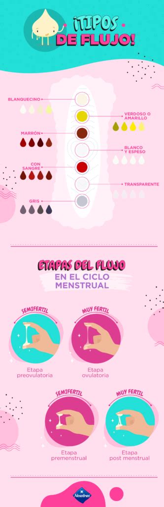 Flujo Premenstrual Durante El Embarazo ¿es Normal ※