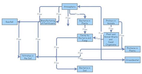 Nitrogen Cycle Insight Maker