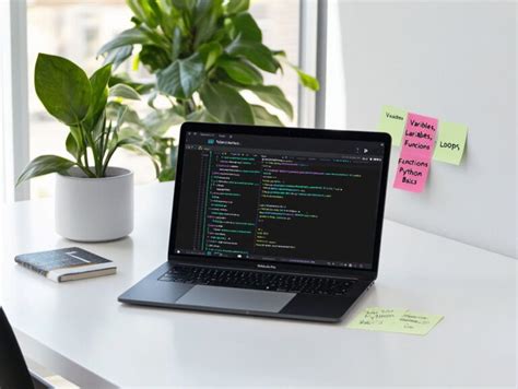 Python Grundlagen für Einsteiger Programmieren lernen