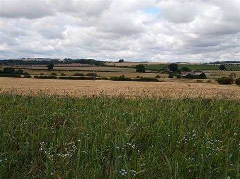 South Ormsby Estate 2026 All You Must Know Before You Go W