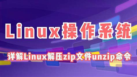 Linux操作系统，详解linux解压zip文件unzip命令教育资格考试好看视频