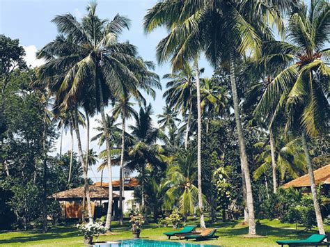 Sri Lanka Hidden Gems North To South Happy Travels