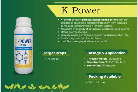 Liquid Potash Mobilizing Bacteria Bio Fertilizer Packaging Type Bottle 1 Litre At ₹ 599 Litre