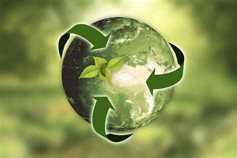 What Is Green Computing Webline Services Inc