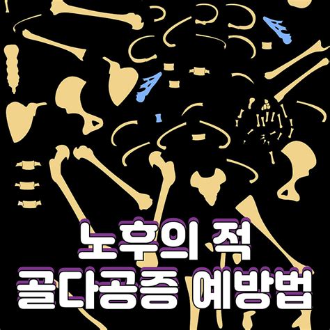 뼈 건강 무너지면 생명까지 위협하는 골다공증 예방법과 관리방법 총정리 꿈꾸는 마미