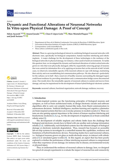 Pdf Dynamic And Functional Alterations Of Neuronal Networks In Vitro