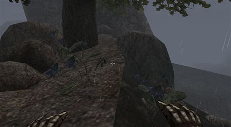 Mesh Error In Mephalan Vales Region Tamriel Rebuilt