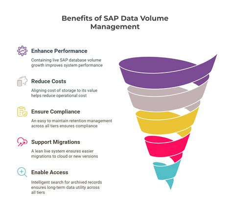 How Data Volume Management Drives Operational Efficiency In Sap Neev