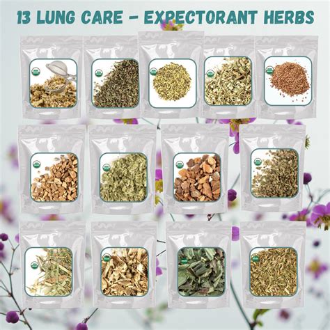 Lung Care Expectorant Herbs Tea Herbal Lung Detox Loose Leaf Teas