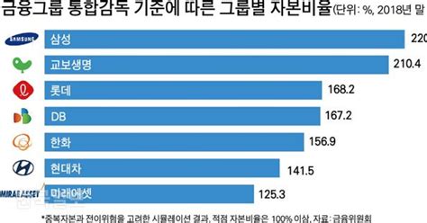 금융그룹 통합감독제 1년 내년부터 7개 금융그룹 부실 전이위험 평가