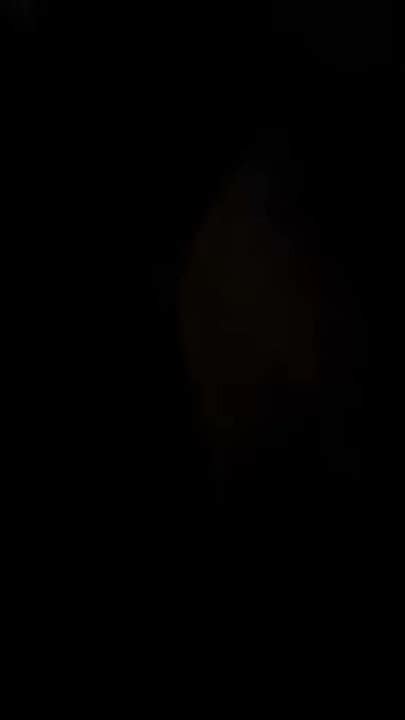 July 30 2017 Youtube