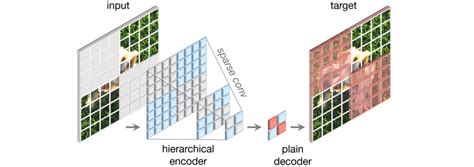 Convnext V2 Co Designing And Scaling Convnets With Masked Autoencoders