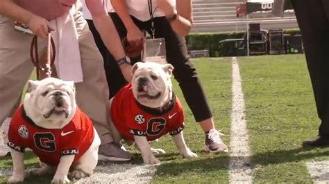 Georgia Introduces Uga Xi Espn Video