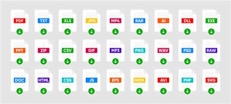 File Type Icon Set Popular Files Format And Document Format And Extension Of Documents Set Of