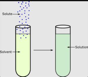Types Of Colloids