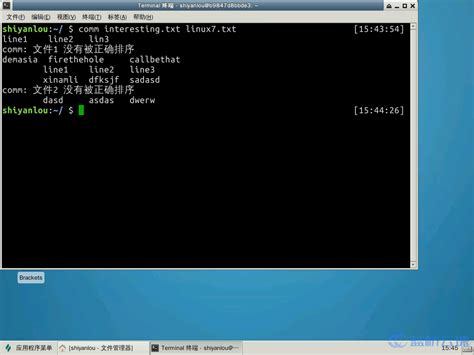Linux操作9 Comm Diff Patch 蓝桥云课