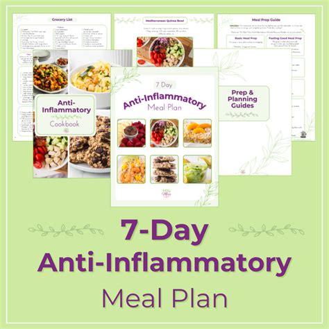 Anti Inflammatory Plant Based Burger Wrap